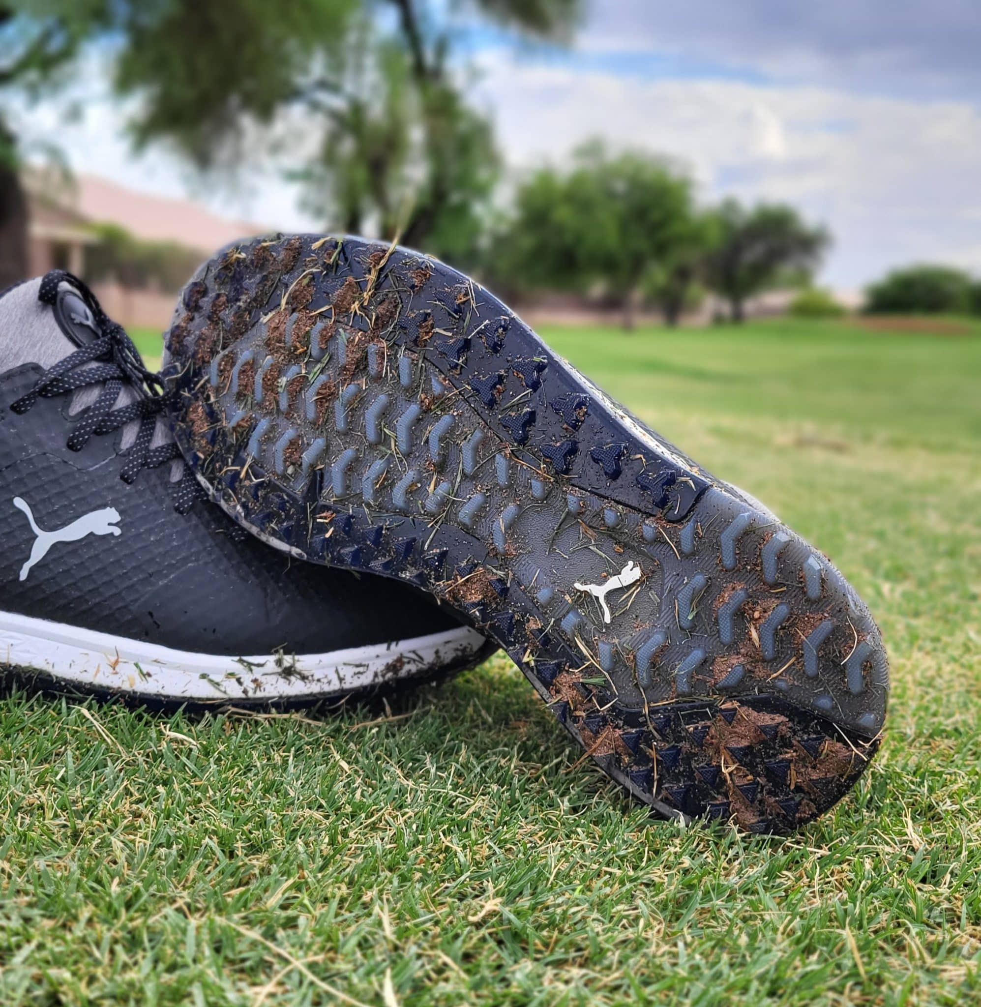 Puma PROADAPT Alphacat Performance Review - WearTesters