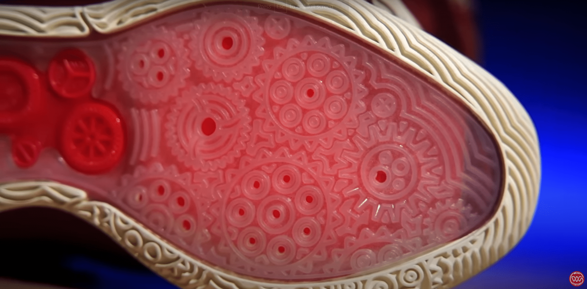 Nike KD 16 Review: Major Changes, Still Great? - WearTesters