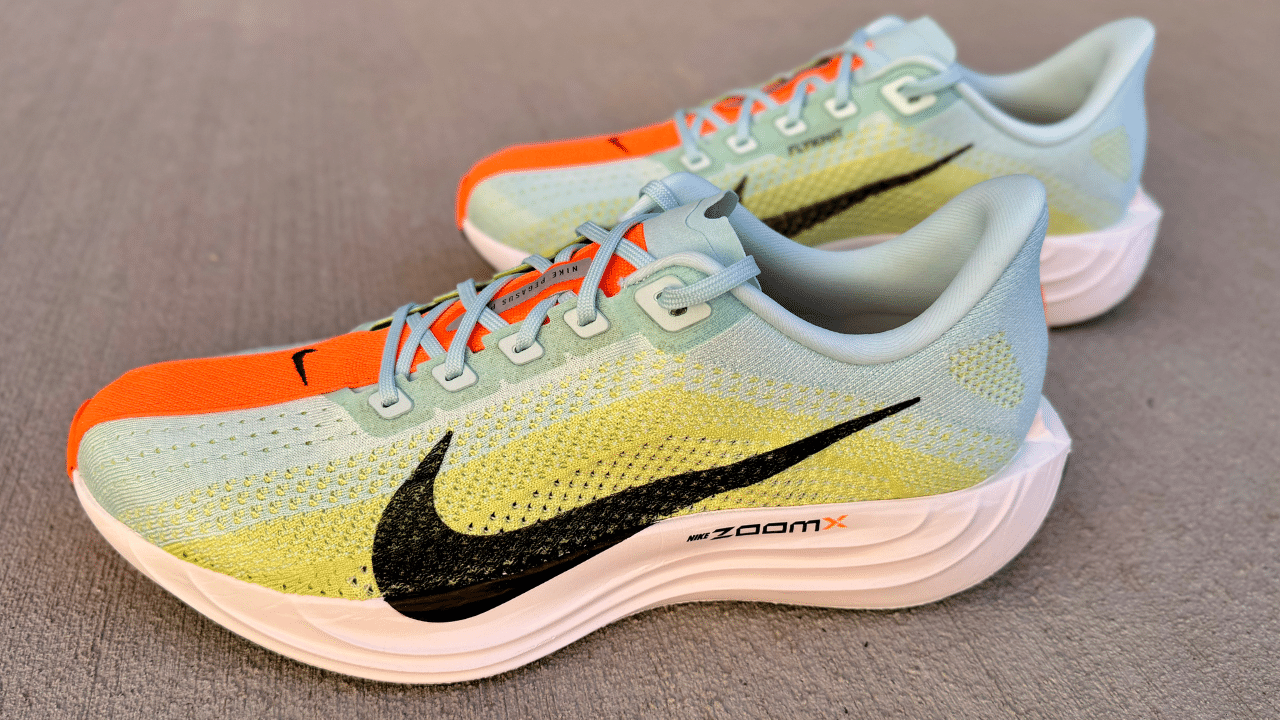 Nike Pegasus Plus Performance Review - WearTesters
