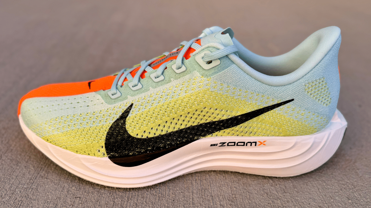 Nike Pegasus Plus Performance Review - WearTesters